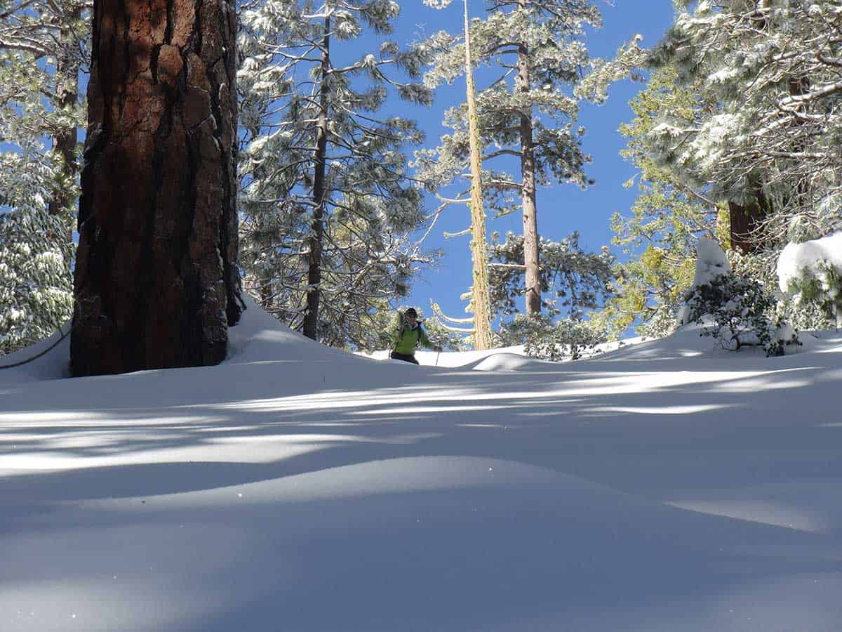 Yosemite In November: Conditions, Things to Do and Rainy Day Activities ...
