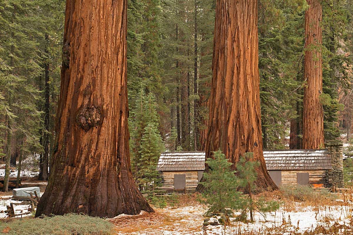 Yosemite In November: Conditions, Things to Do and Rainy Day Activities ...