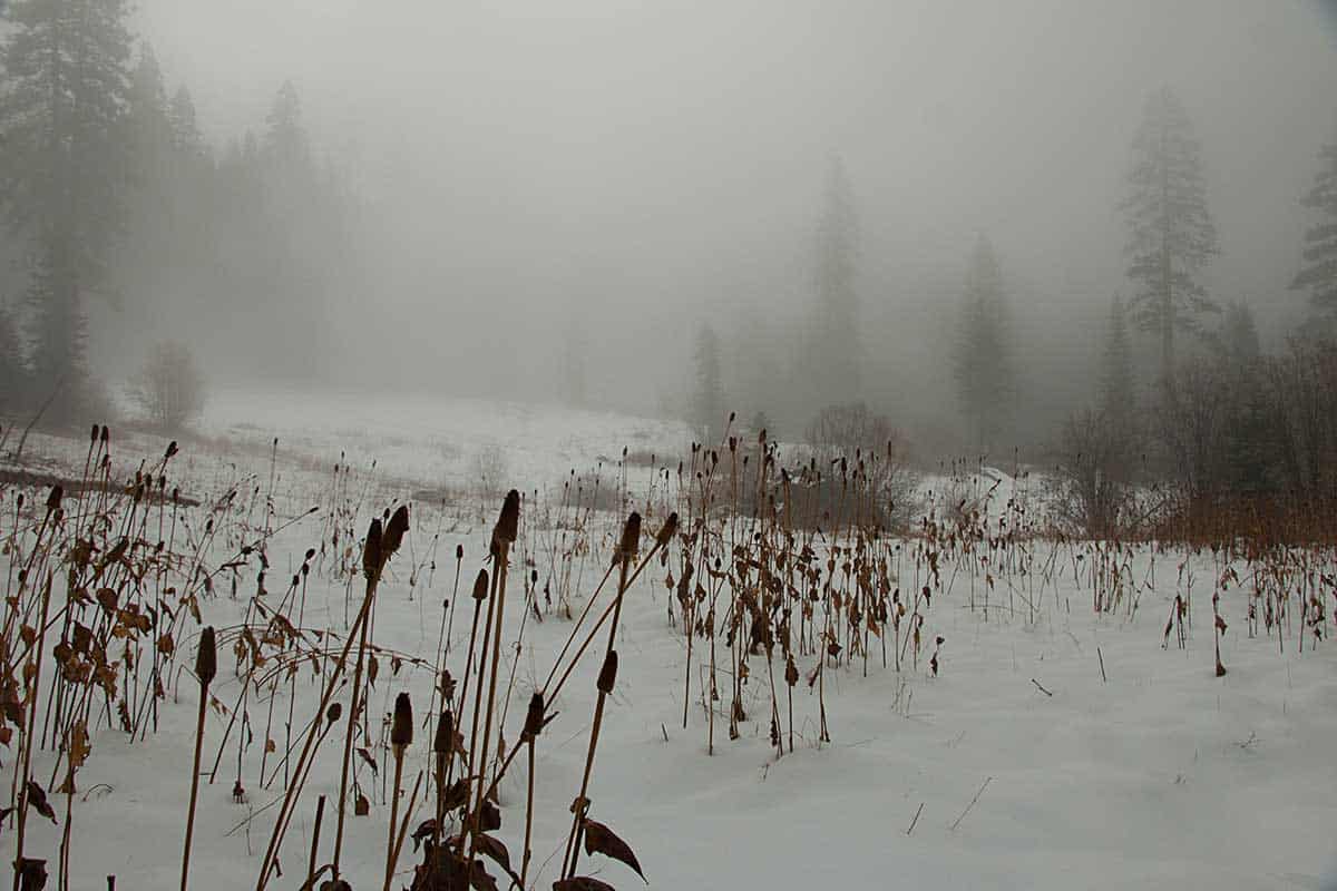 Yosemite In November: Conditions, Things to Do and Rainy Day Activities ...